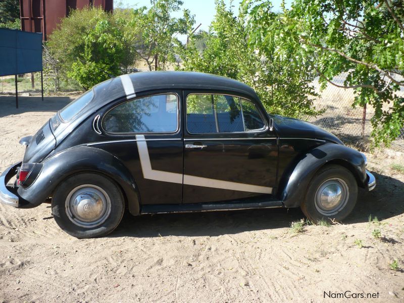 Used Volkswagen Beetle | 1980 Beetle for sale | Okahandja Volkswagen ...